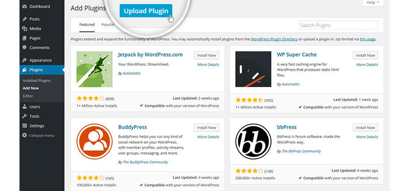 Create Adult Tubes with our Free WordPress Plugin and Theme - WP-Script