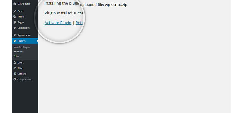 Create Adult Tubes With Our Free Wordpress Plugin And Theme Wp Script