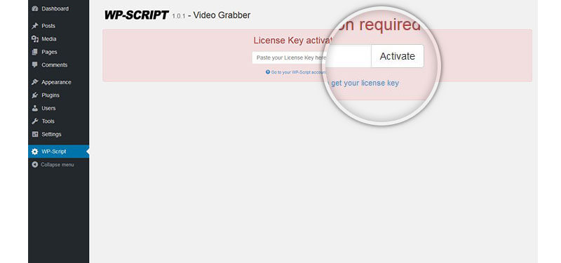 Create Adult Tubes with our Free WordPress Plugin and Theme - WP-Script