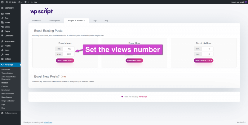WPS Booster - WP-Script WordPress Plugin